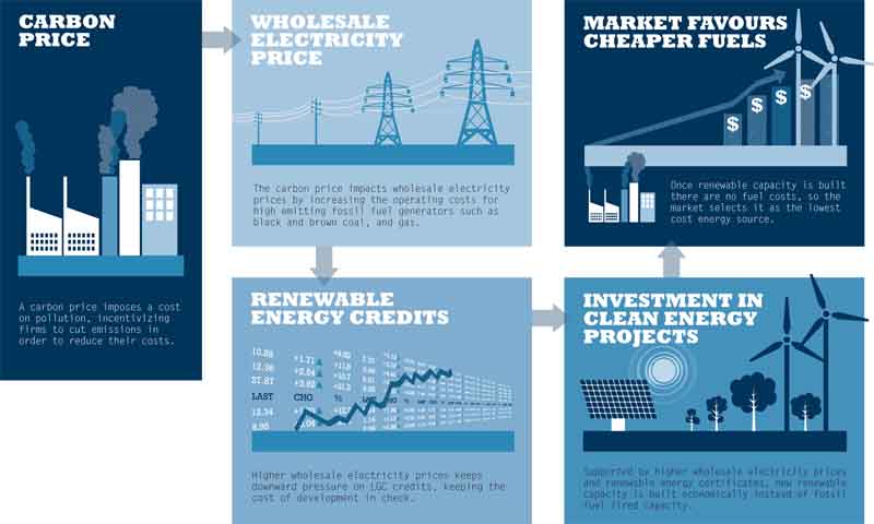 WWF: ETS repeal to reduce renewable energy, increase prices | FS ...