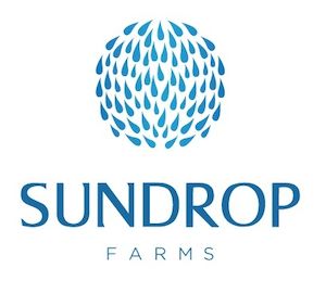 KKR invests in Sundrop Farms expansion | FS Sustainability