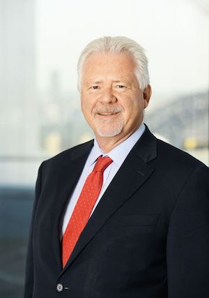 New Forests expands on forestry sector's role in investment, bio ...