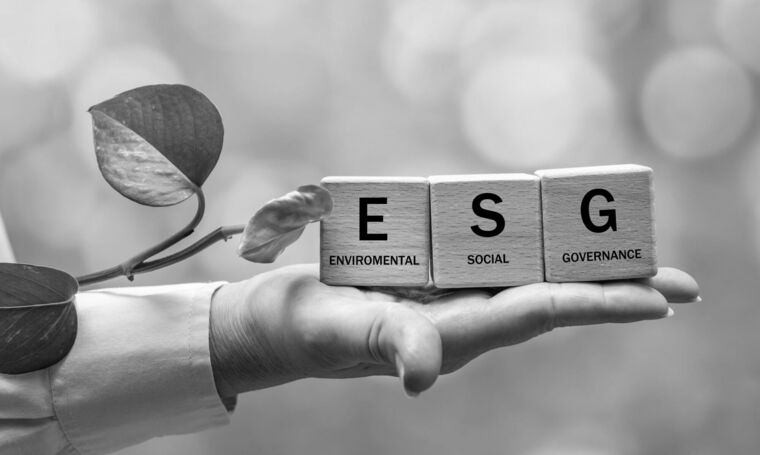 Go digital for ESG, financial reporting: Deloitte | FS Sustainability